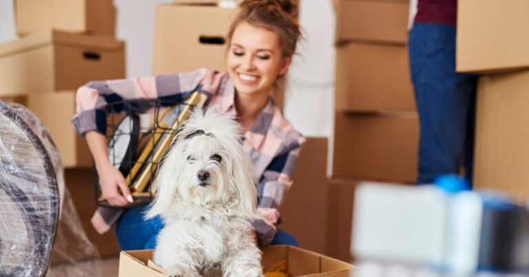 Moving to the UK from the USA: Everything US Expats Need to Know ...